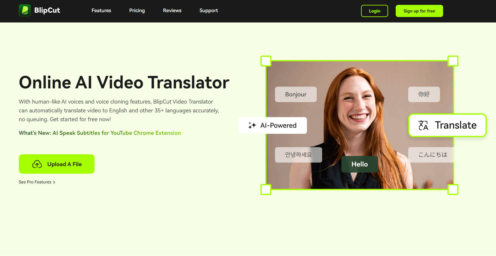 BlipCut AI Video Translator - Seamless Video Translation for Global Impact - Aitoolnet