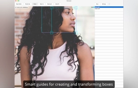 RectLabel - 多功能人工智能图像标注用于精确任务 - Aitoolnet