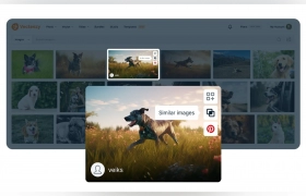 AI Reverse Image Search - AI Reverse Search for Creative Professionals ...