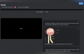 OmniSets - Smart Flashcards for Adaptive Learning - Aitoolnet