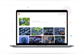 AI Reverse Image Search - AI Reverse Search for Creative Professionals ...
